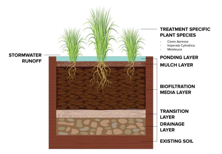 Bioretention Layers: Finding a Balance - Atlan Stormwater Australia