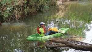 Petrie Creek Clean-Up Day with Stormwater Shepherds