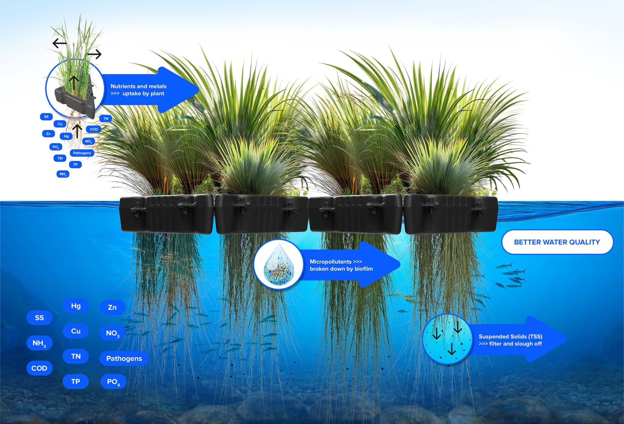 What is a Floating Treatment Wetlands? | FTWs Explained