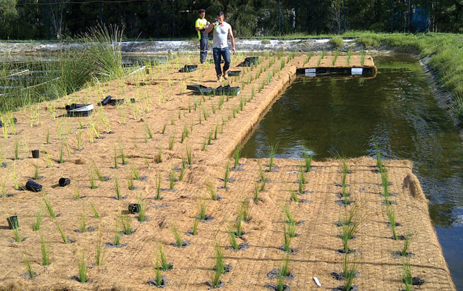 Floating Wetlands | Stormwater Wetlands | Atlan New Zealand