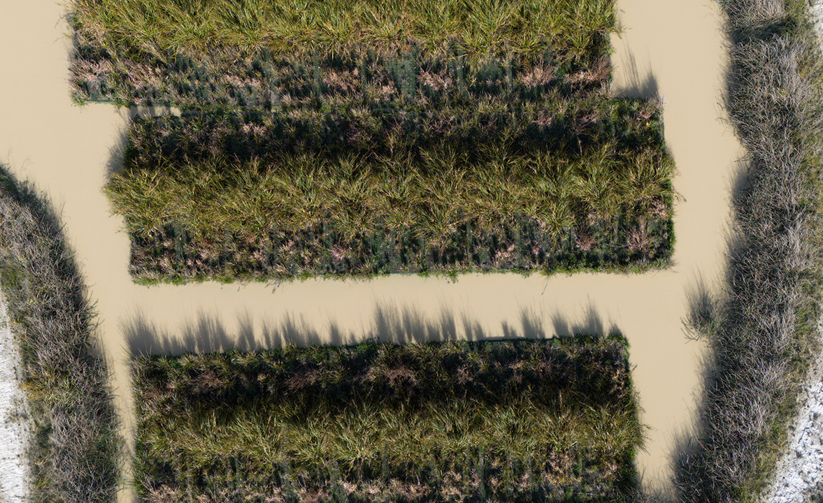 Floating Wetlands | Stormwater Wetlands | Atlan New Zealand