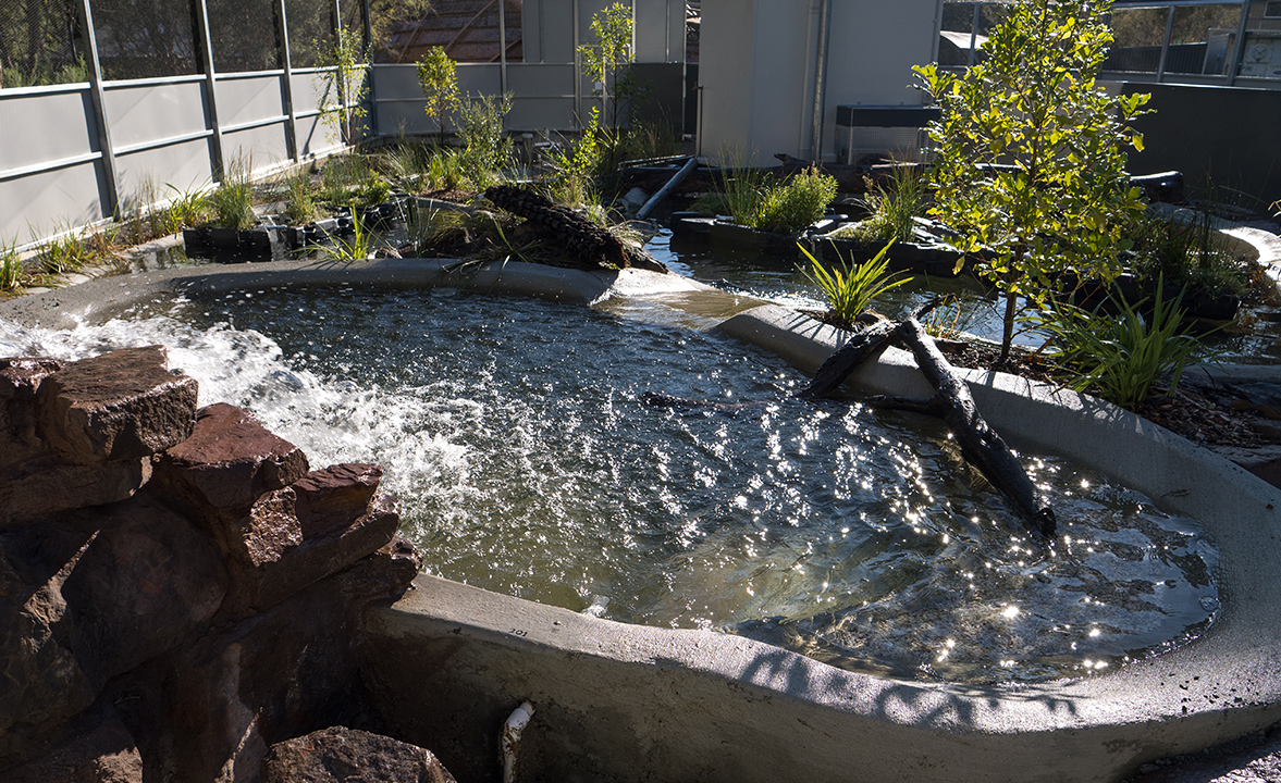 Floating Wetlands | Stormwater Wetlands | Atlan New Zealand