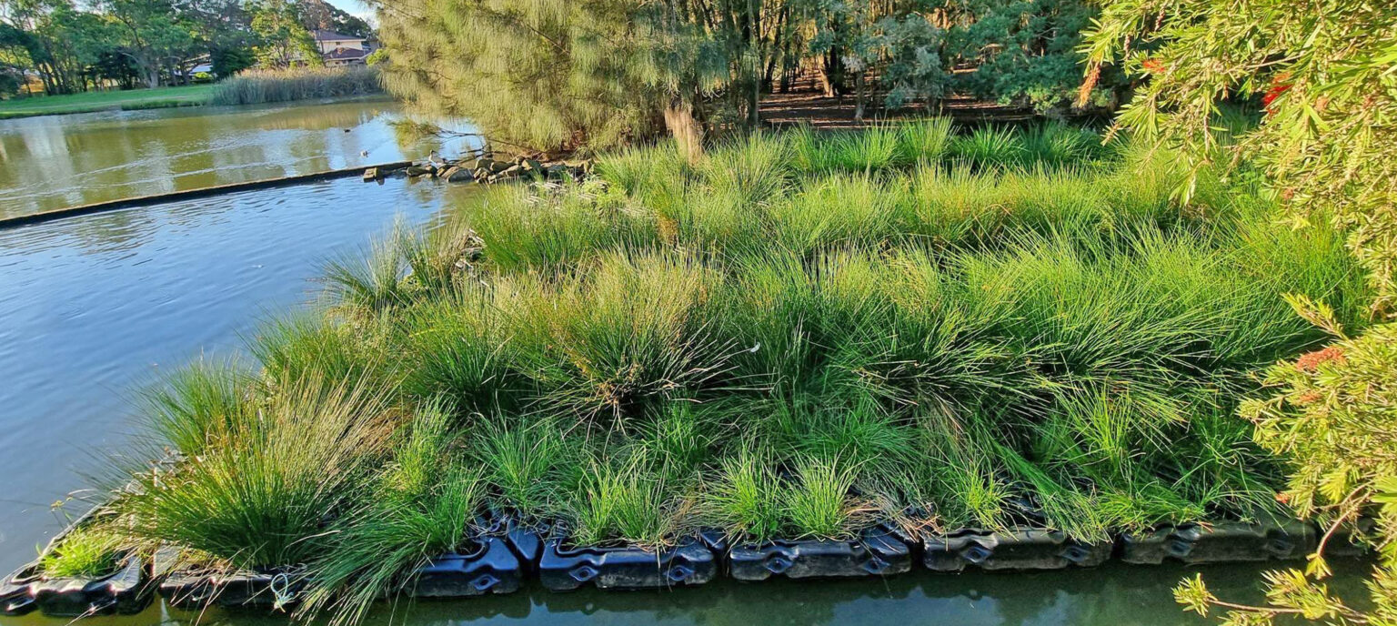 Floating Wetlands Construction | Atlan Stormwater